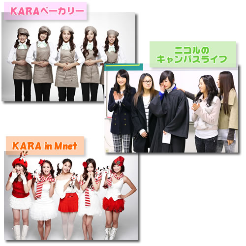 KARAFULL DVD-BOX 通信販売